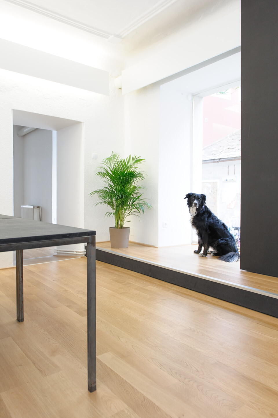 Animal Design Studio | Business | References | Inspiration | Bauwerk